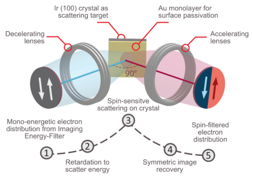 Imaging Spin Filter (Au/Ir) | FOCUS - Instruments for Electron ...