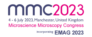 MMC 2023 | FOCUS - Instruments for Electron Spectroscopy and Surface Analysis